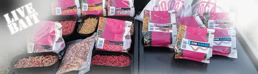 Live Bait – Willy Worms