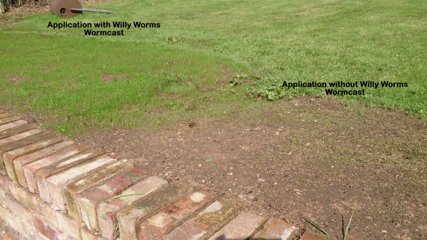 20 Litres of Pure Worm Casts – Willy Worms