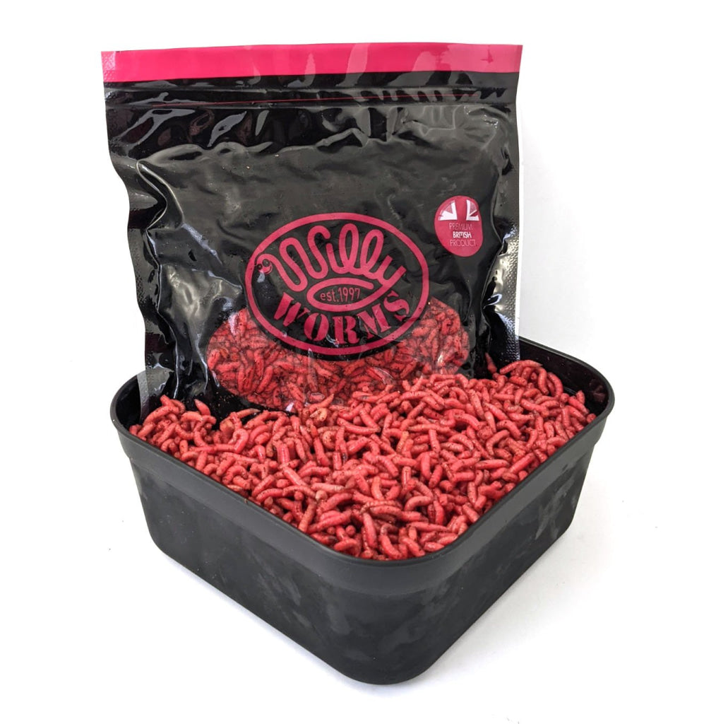Dead Maggots 1 Pint – Willy Worms