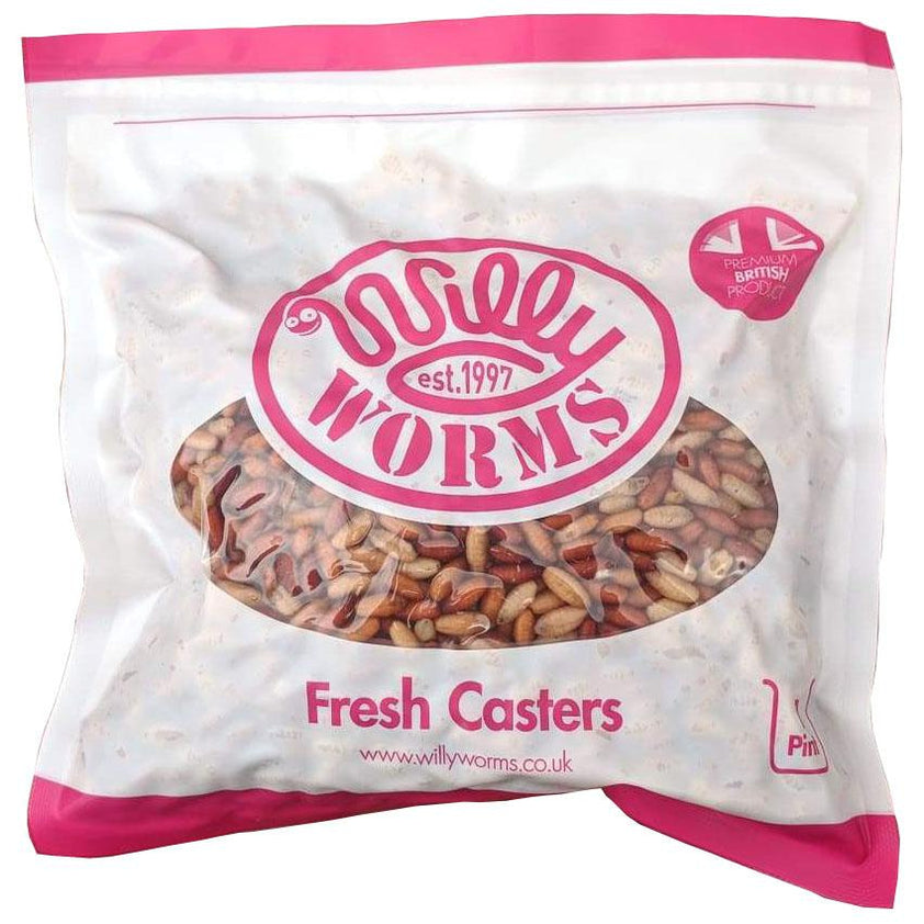 Fresh Casters – Willy Worms