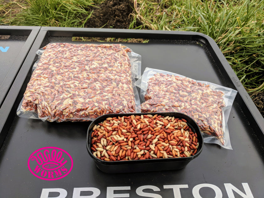 Fresh Casters – Willy Worms