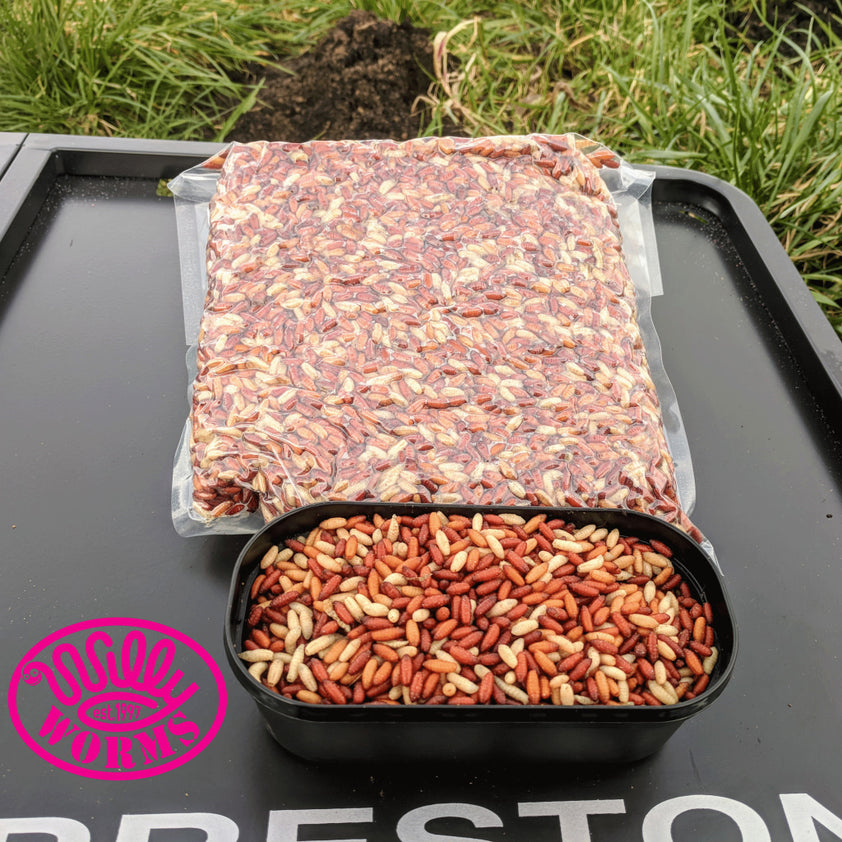 Fresh Casters – Willy Worms