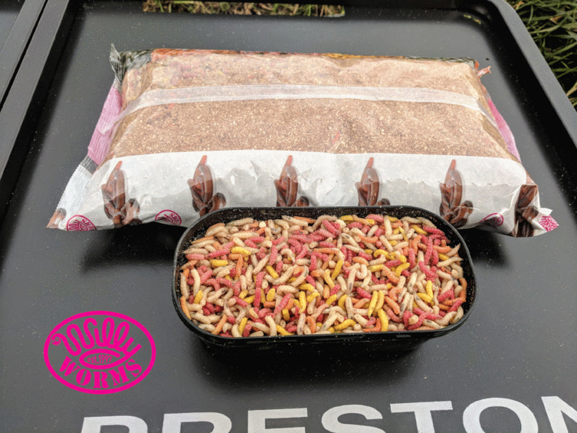 Mixed Maggots – Willy Worms