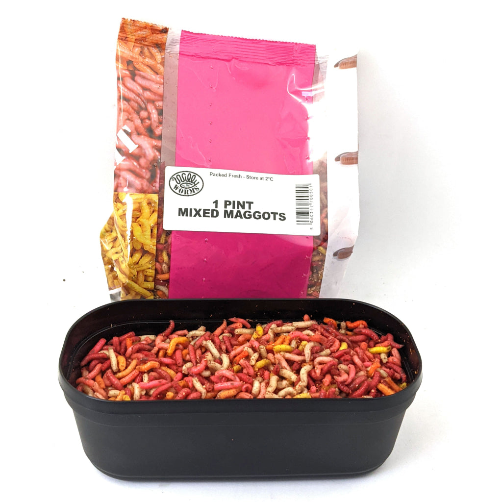 Mixed Maggots – Willy Worms