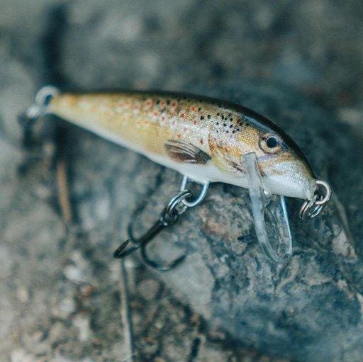 Rapala - Countdown Lure – Willy Worms