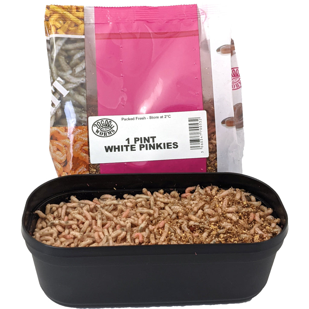 White Pinkies – Willy Worms